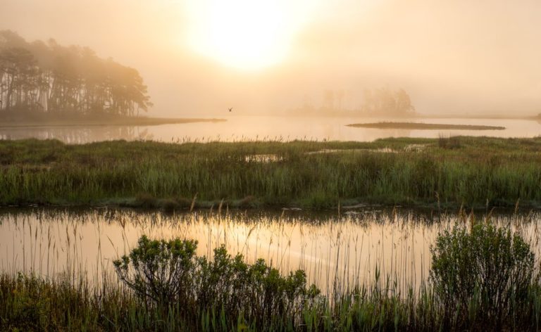 Assateague Island National Seashore - Parkcation