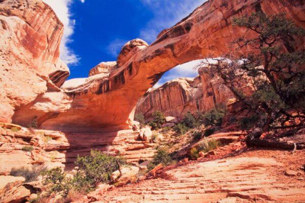 Natural Bridges National Monument - Parkcation
