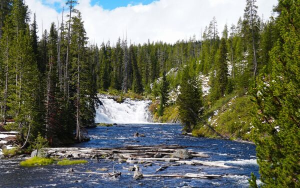 Lewis Lake and Lewis Falls in Yellowstone - Parkcation